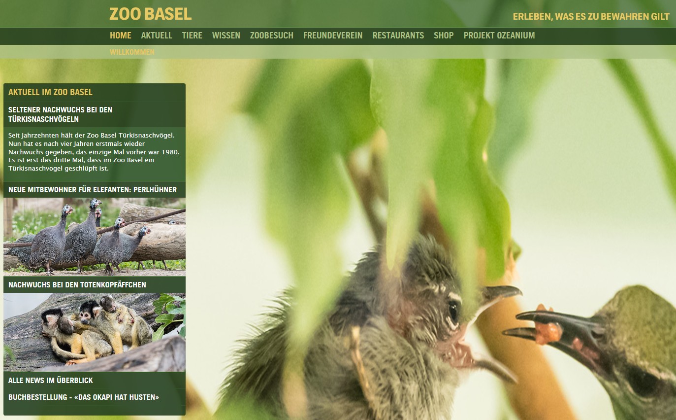 Basel liegt am Dreiländereck Schweiz-Deutschland-Frankreich. In der ...